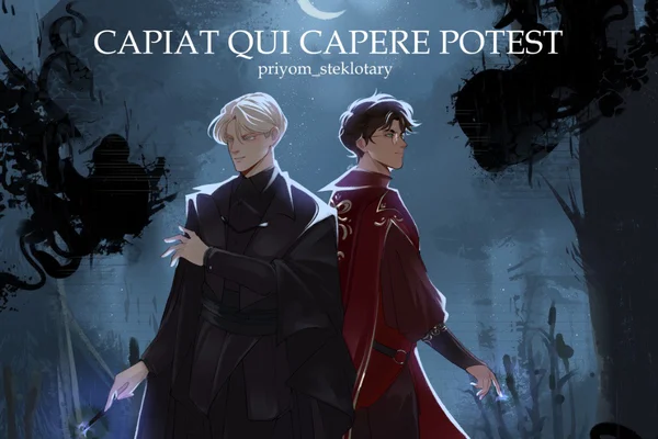 capiat qui сареrе potest — фанфик по фэндому «Роулинг Джоан «Гарри ...